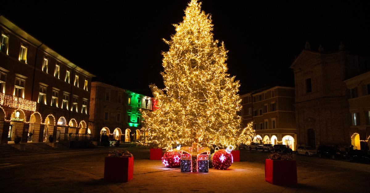 Miglior albero di Natale delle Marche, parte la sfida: in gara c'è ...
